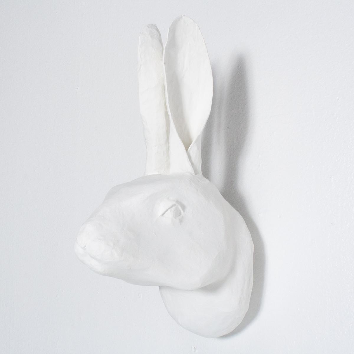 white rabbit design studio